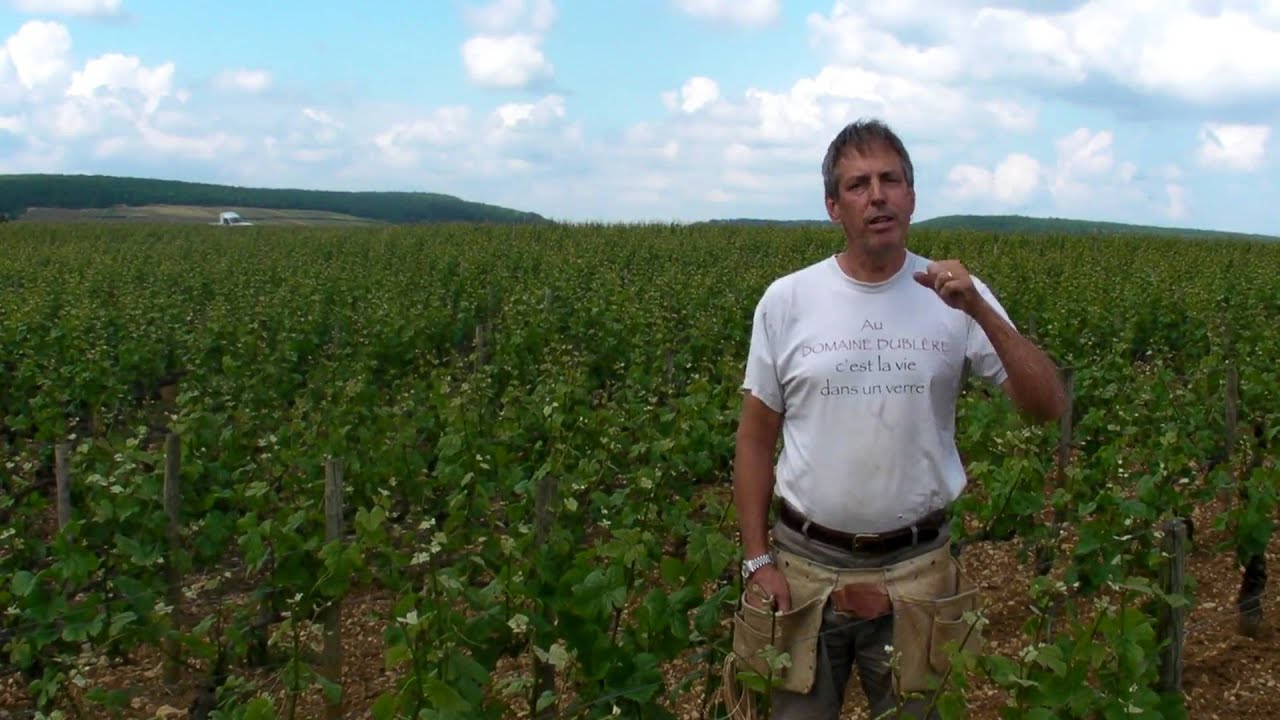 Domaine Frederic Esmonin - Gevrey-Chambertin Les Champonnets 1er Cru ...